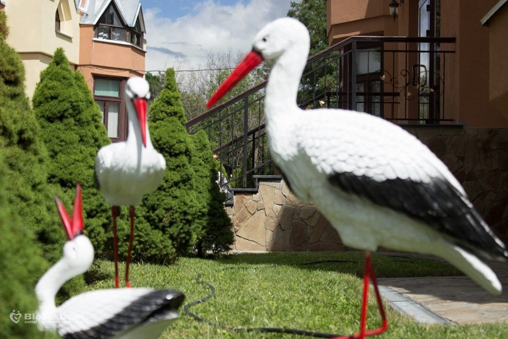 Clinique Biotexcom • Fiv.fr