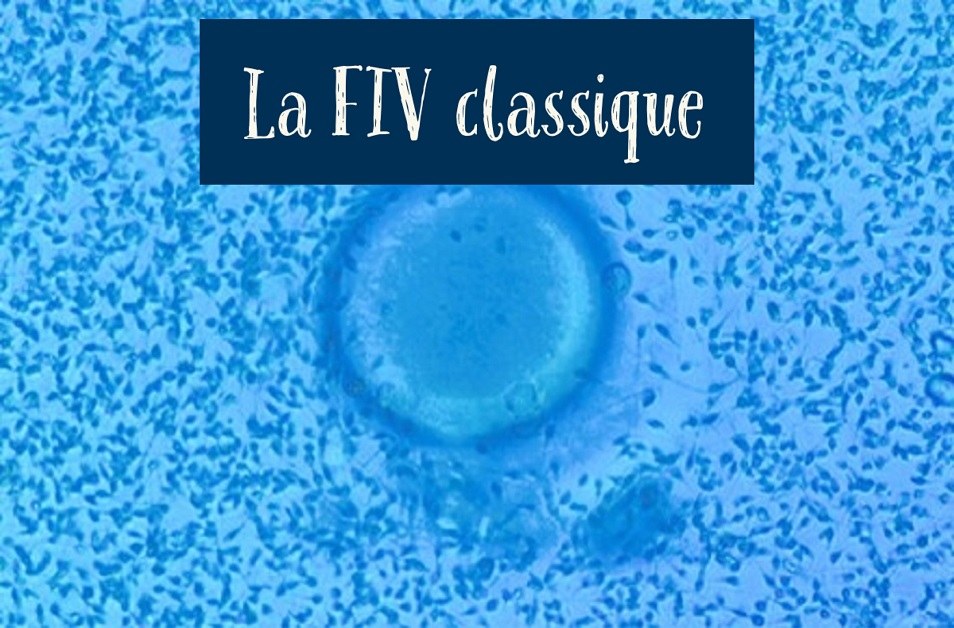 La FIV classique