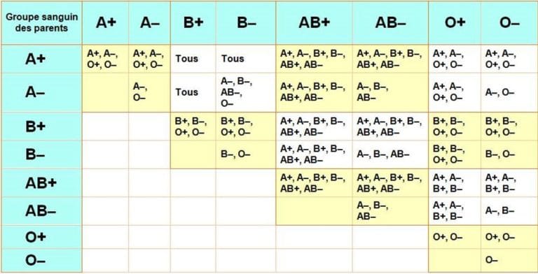 Don d'ovocytes : l'importance du groupe sanguin de la donneuse • Fiv.fr