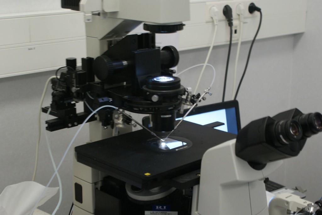 Visite de la clinique espagnole IGIN • Fiv.fr