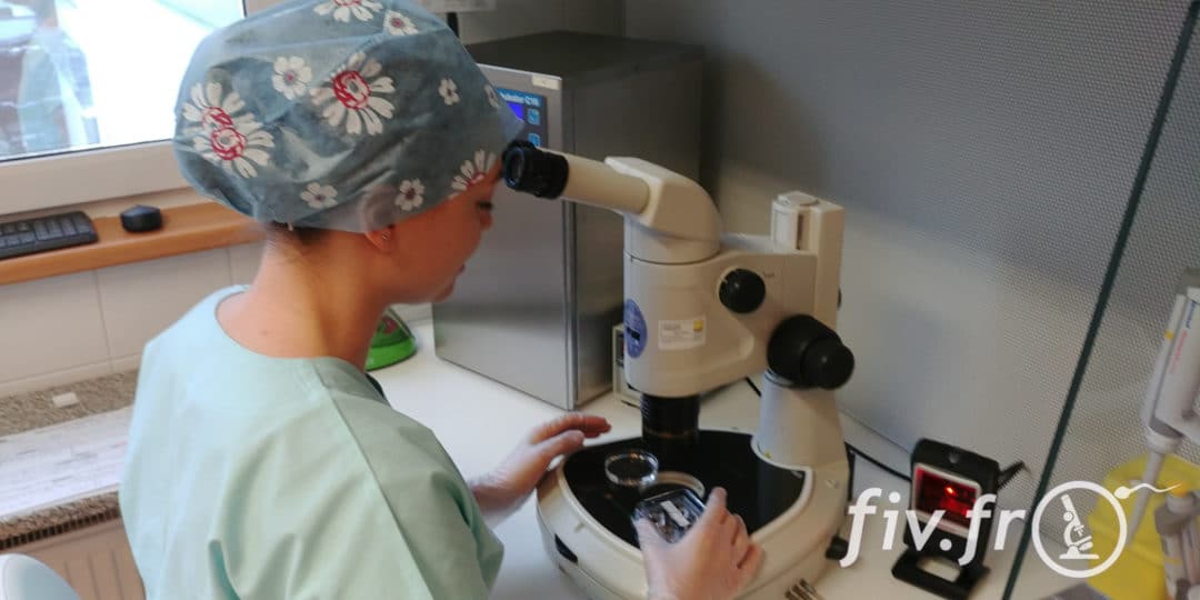 Visite de la clinique Reprofit à Brno (République Tchèque) • Fiv.fr