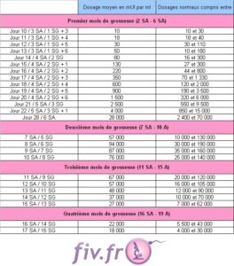 Dosage béta-hCG Interprétez facilement vos résultats