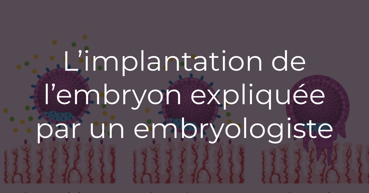 L'implantation de l'embryon expliquée par un embryologiste • Fiv.fr