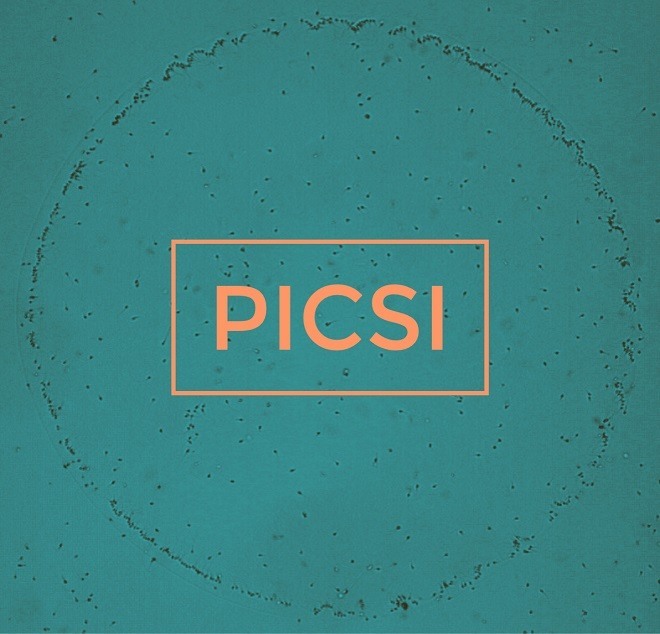 PICSI (Sélection des spermatozoides)